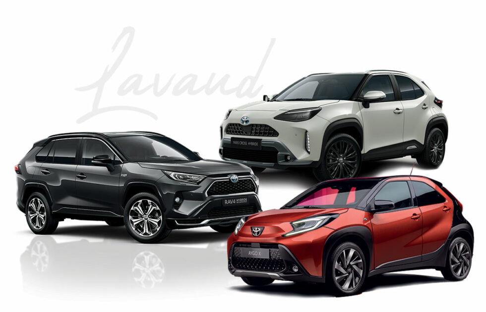 Page du groupe - Groupe Lavaud